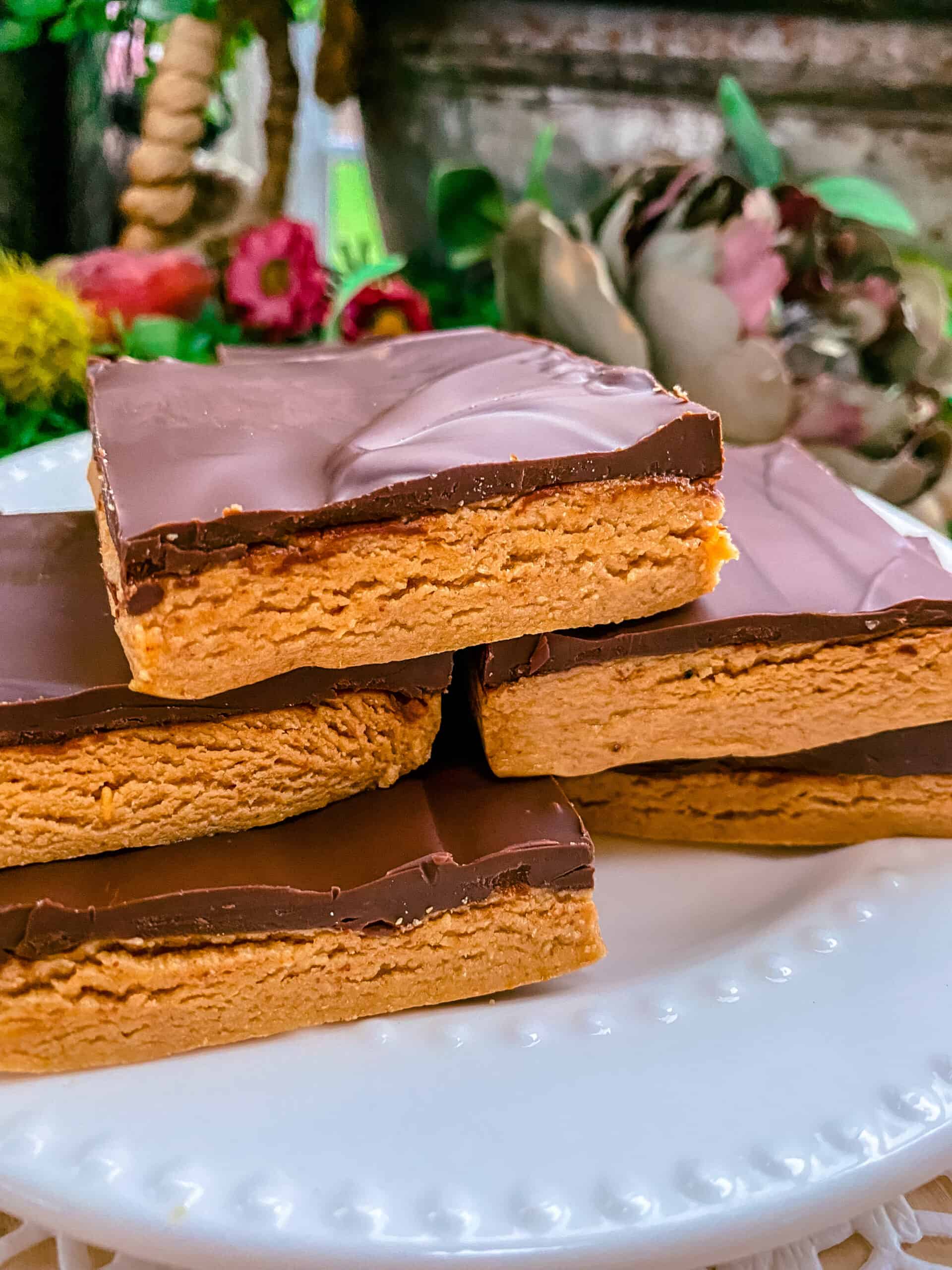 Vegan & Gluten-free Peanut Butter Protein Squares - Hope and Hummus