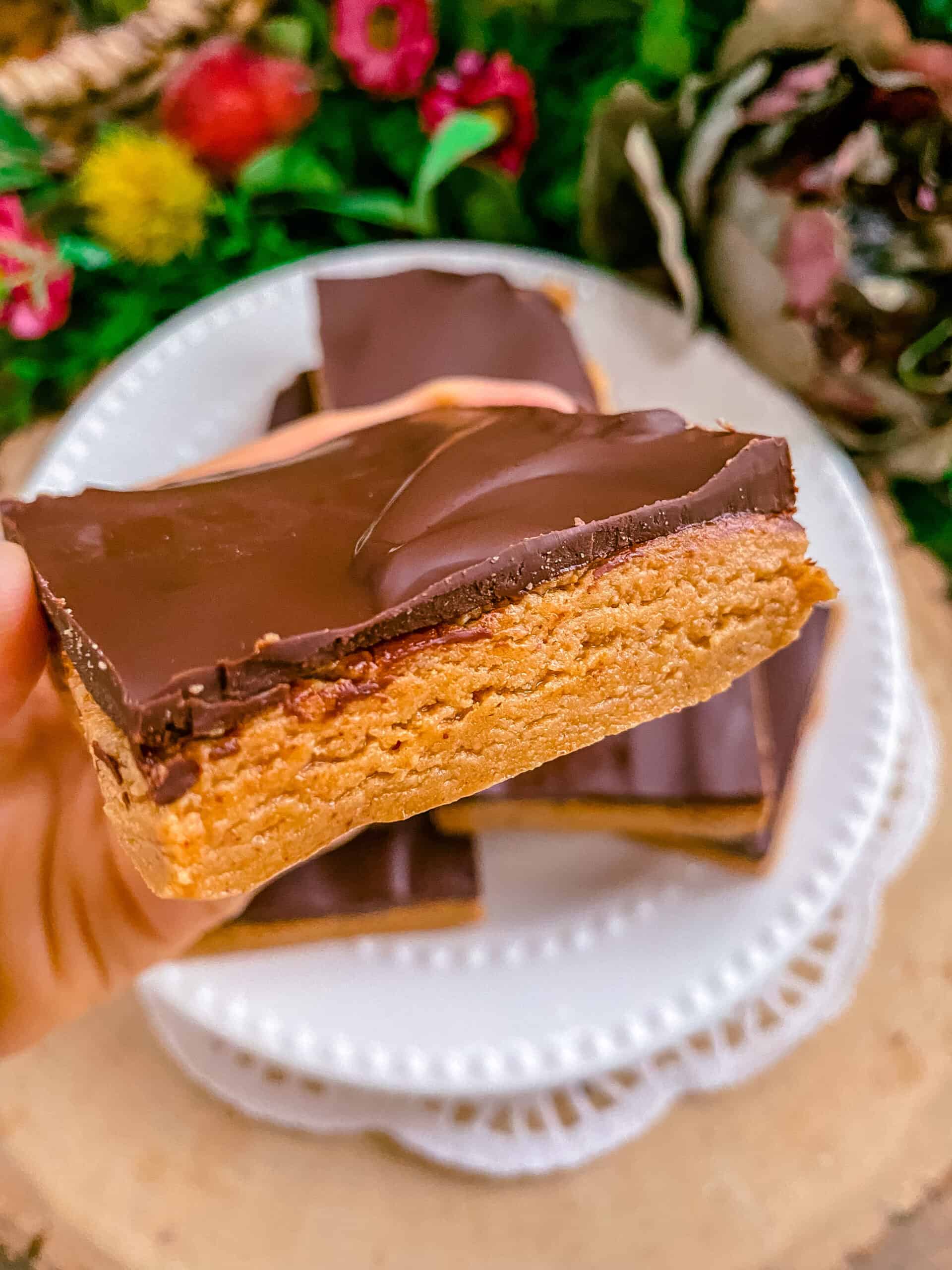 Vegan & Gluten-free Peanut Butter Protein Squares - Hope and Hummus