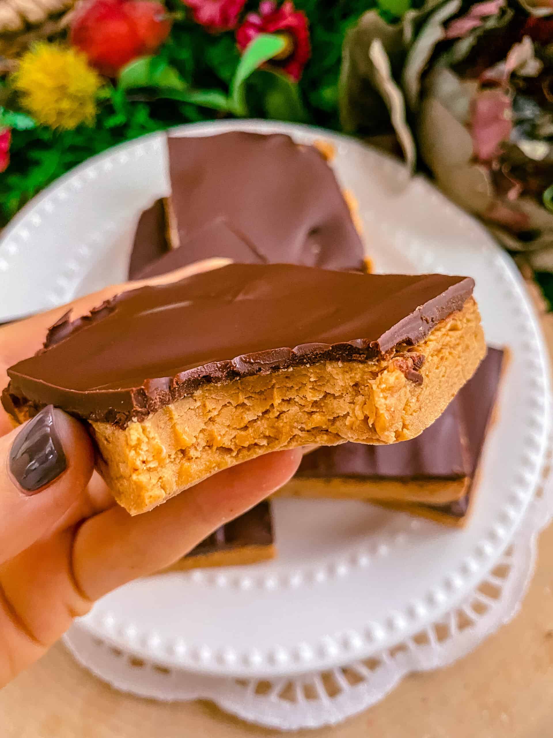 Vegan & Gluten-free Peanut Butter Protein Squares - Hope and Hummus