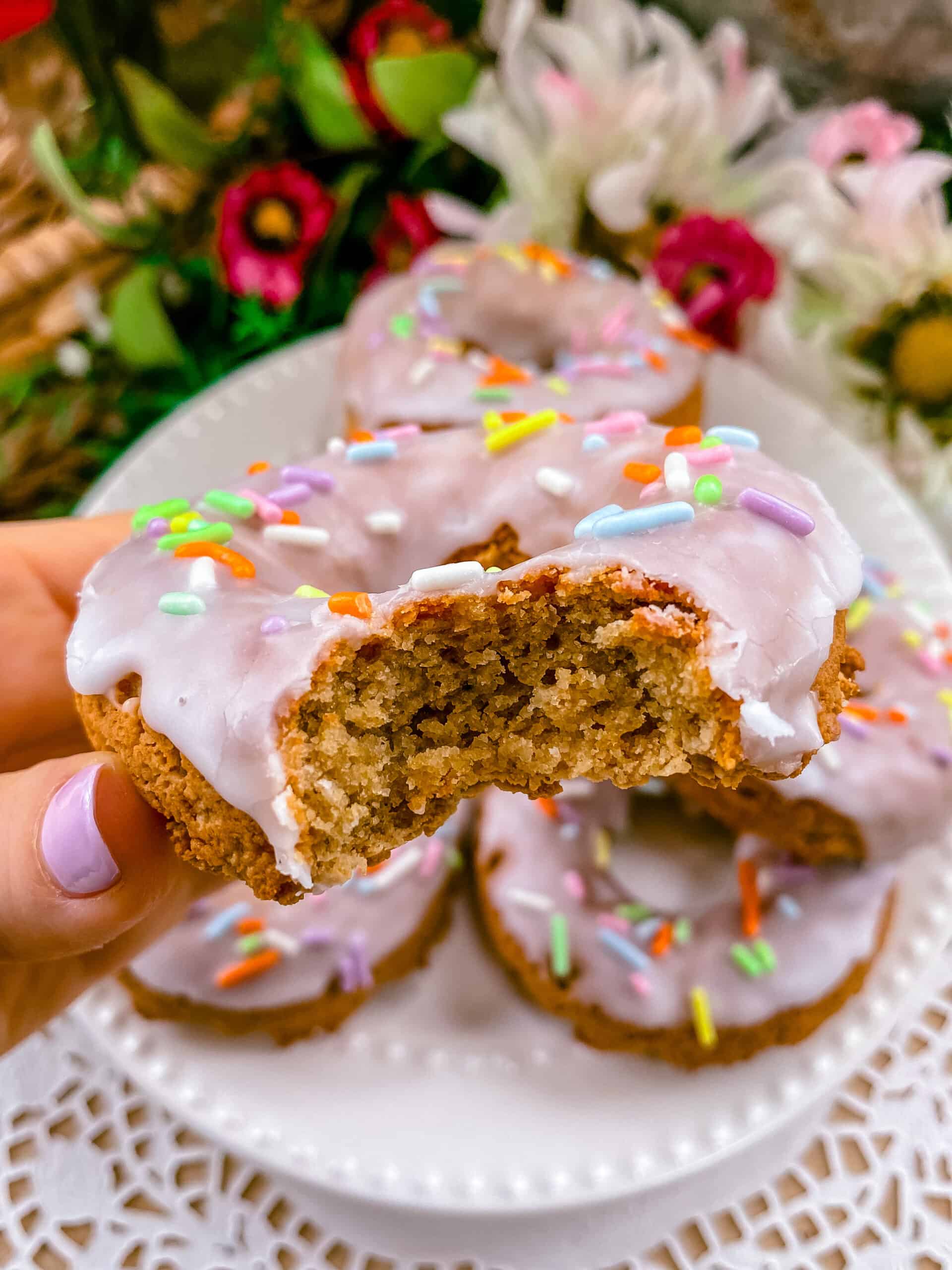 Gluten-free & Dairy-free Protein Donuts - Hope and Hummus